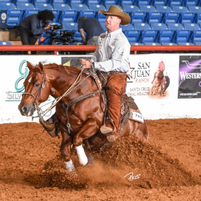 Performance Stallions – Page 5 – Stallion Register Directory