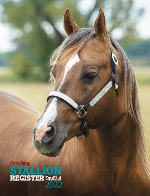Metallic Cat – Stallion Register Directory